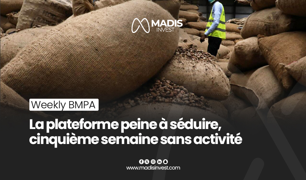 Actualité Boursière - MADIS INVEST - BMPA : la plateforme peine à ...